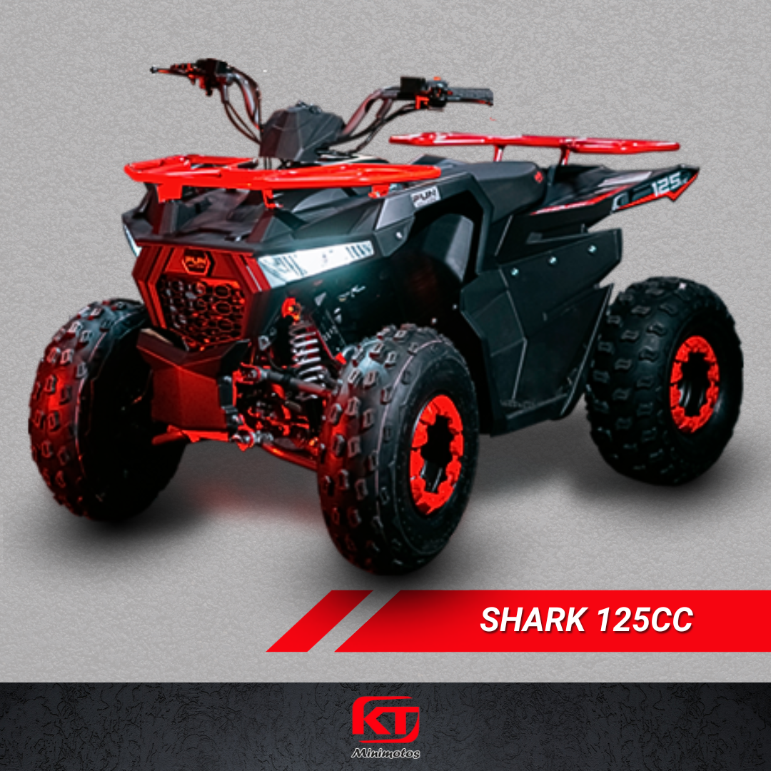Shark 125cc – FUN | KT Minimotos