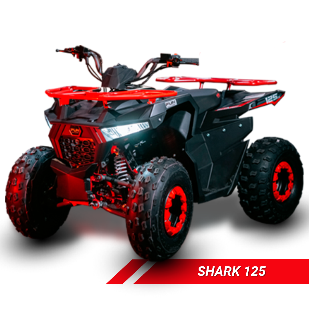 Shark 125cc – FUN | KT Minimotos